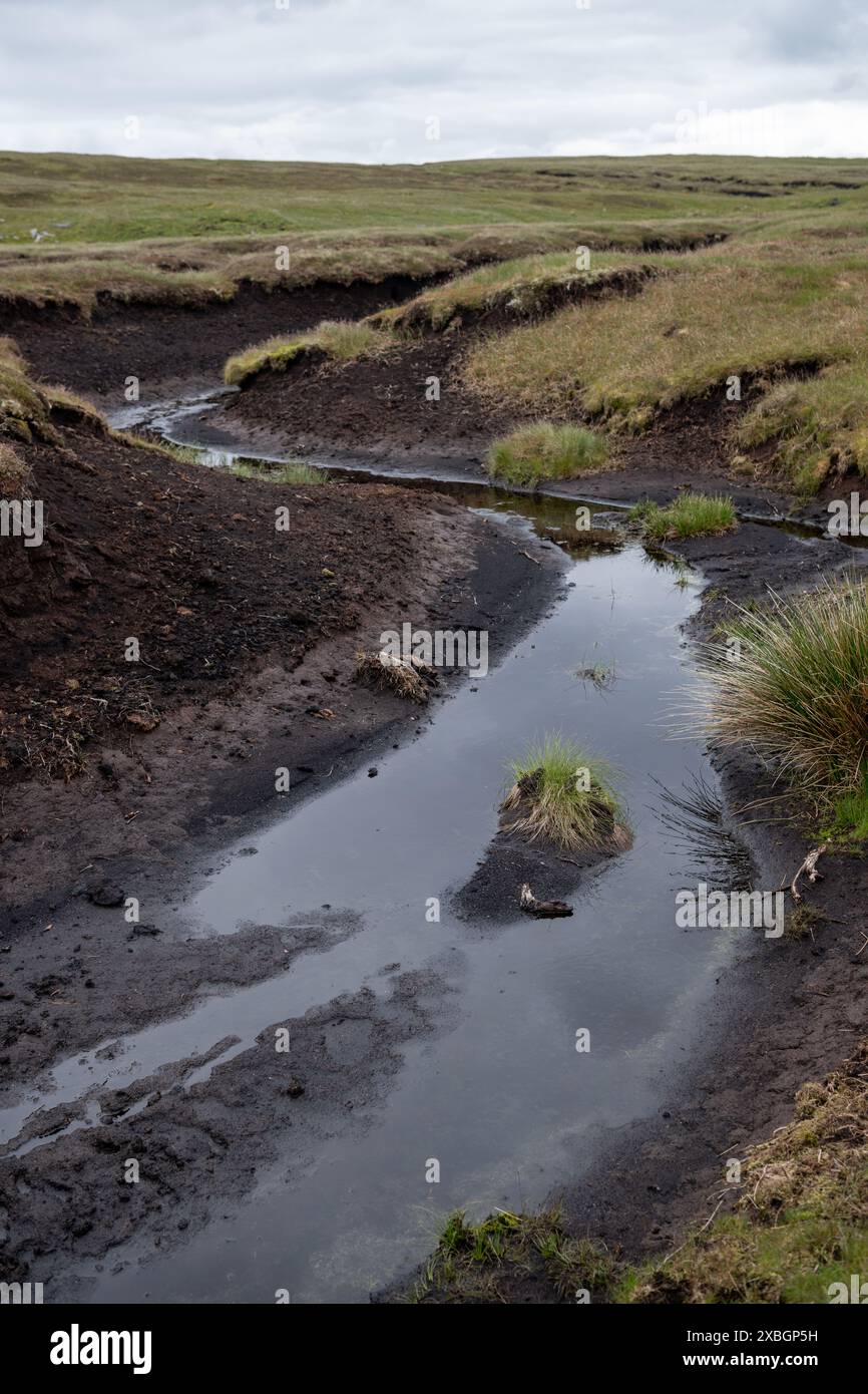 Extensive blanket bog on deep peat moorland in the Yorkshire Dales ...