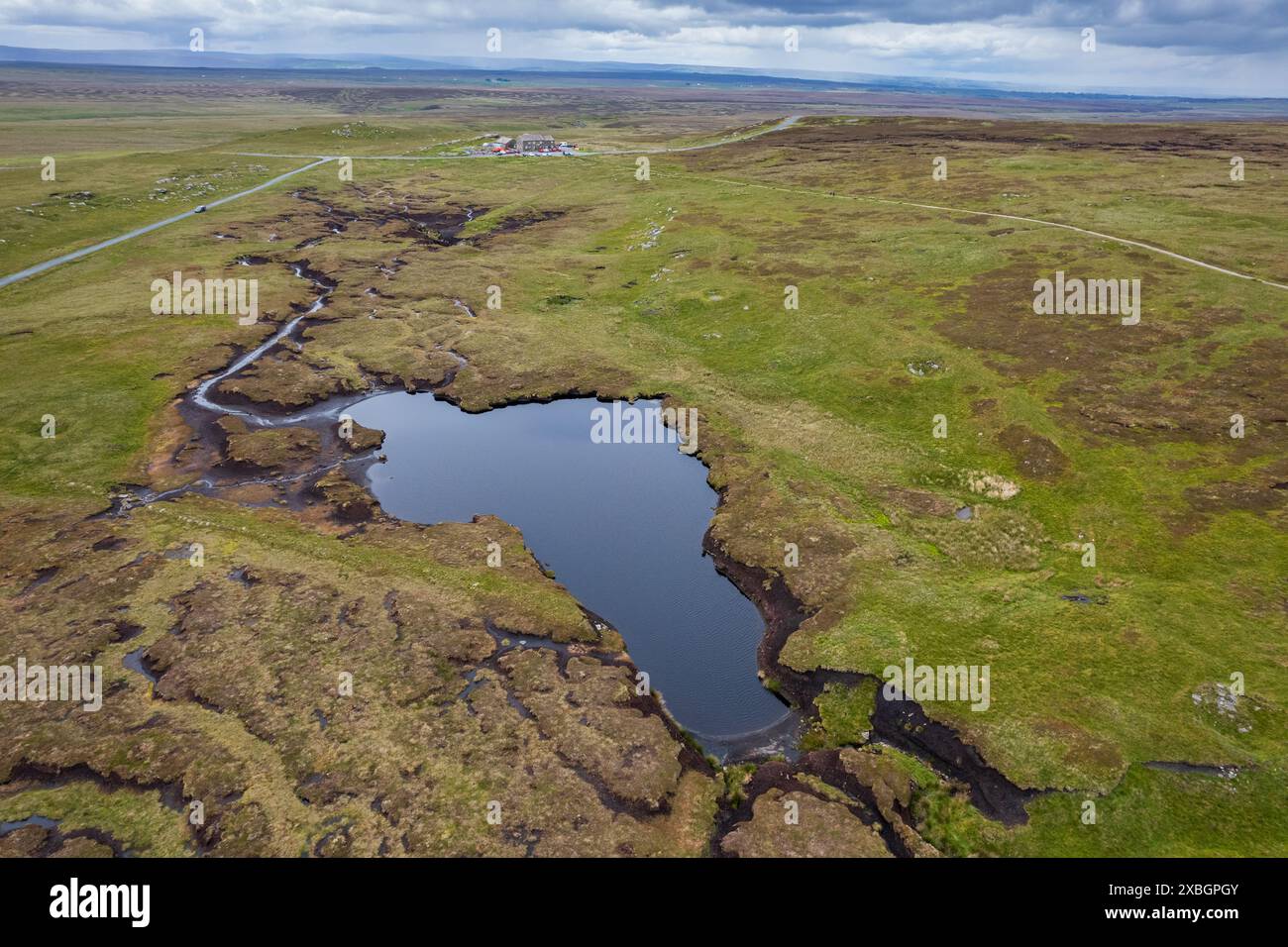 Extensive blanket bog on deep peat moorland in the Yorkshire Dales ...