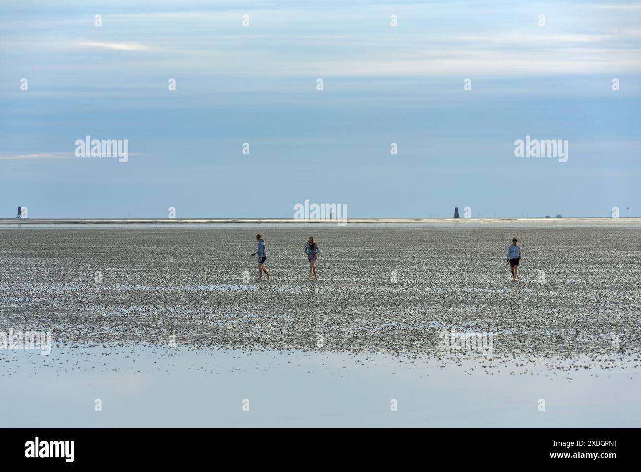 Wadden sea conservation area hi-res stock photography and images - Alamy