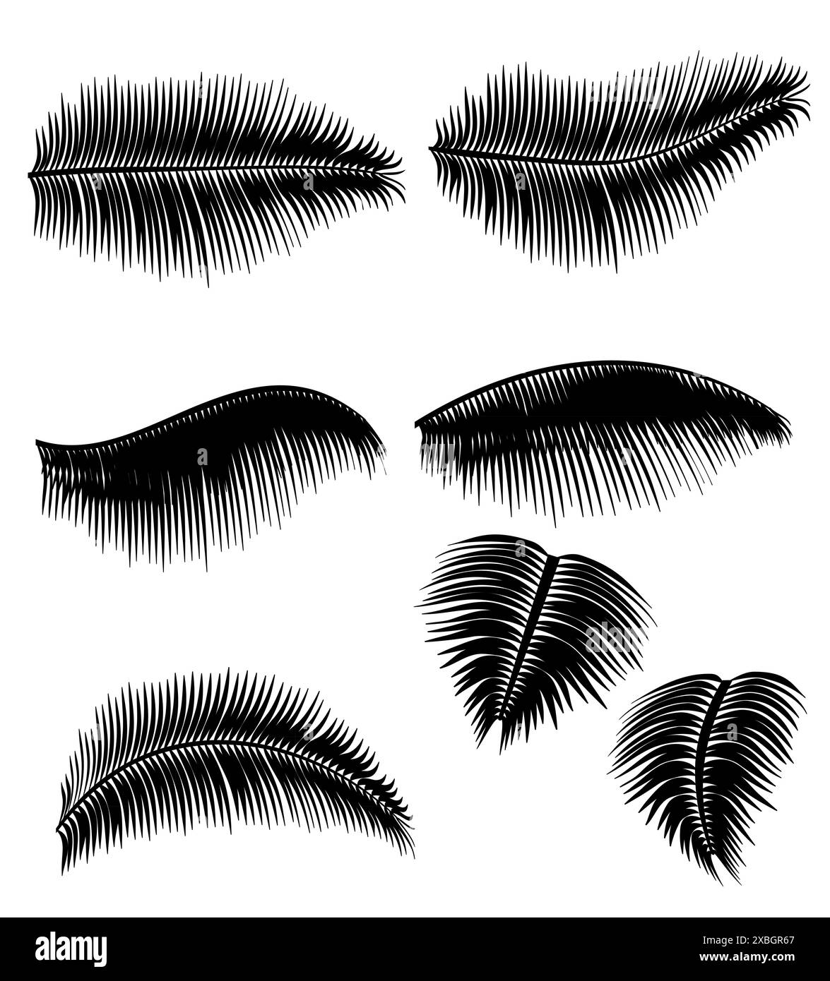 green leaves of tropical palm tree vector illustration isolated on ...