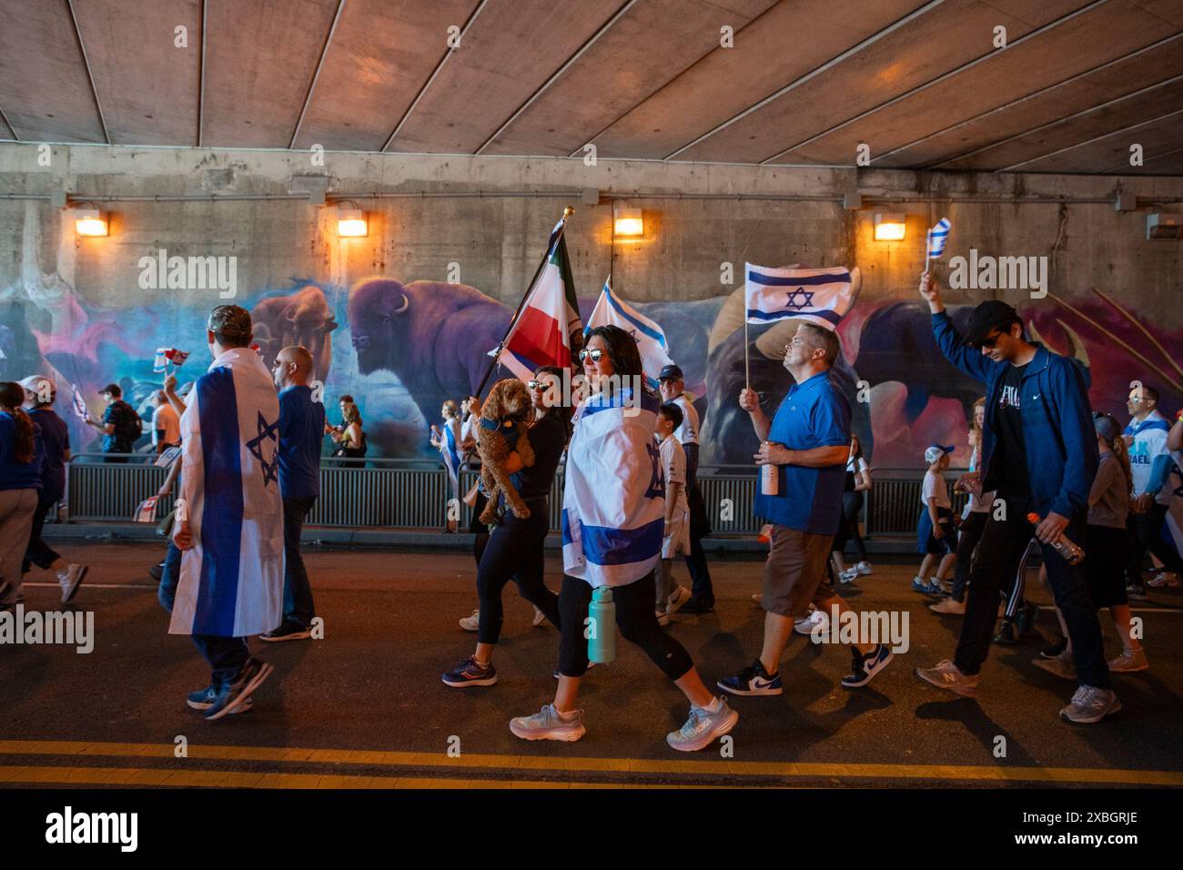 People hold Israel flags, walk under bridge during UJA (United Jewish ...