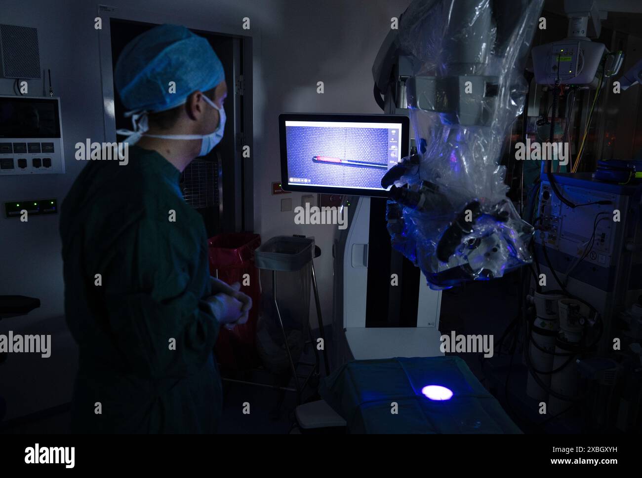 THEME PICTURE - Project 'image of the future': An artificial ...