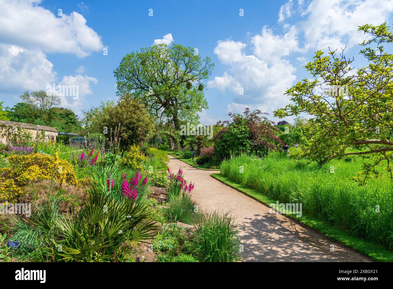 Landscape view of the most beautiful botanic garden in the spring ...