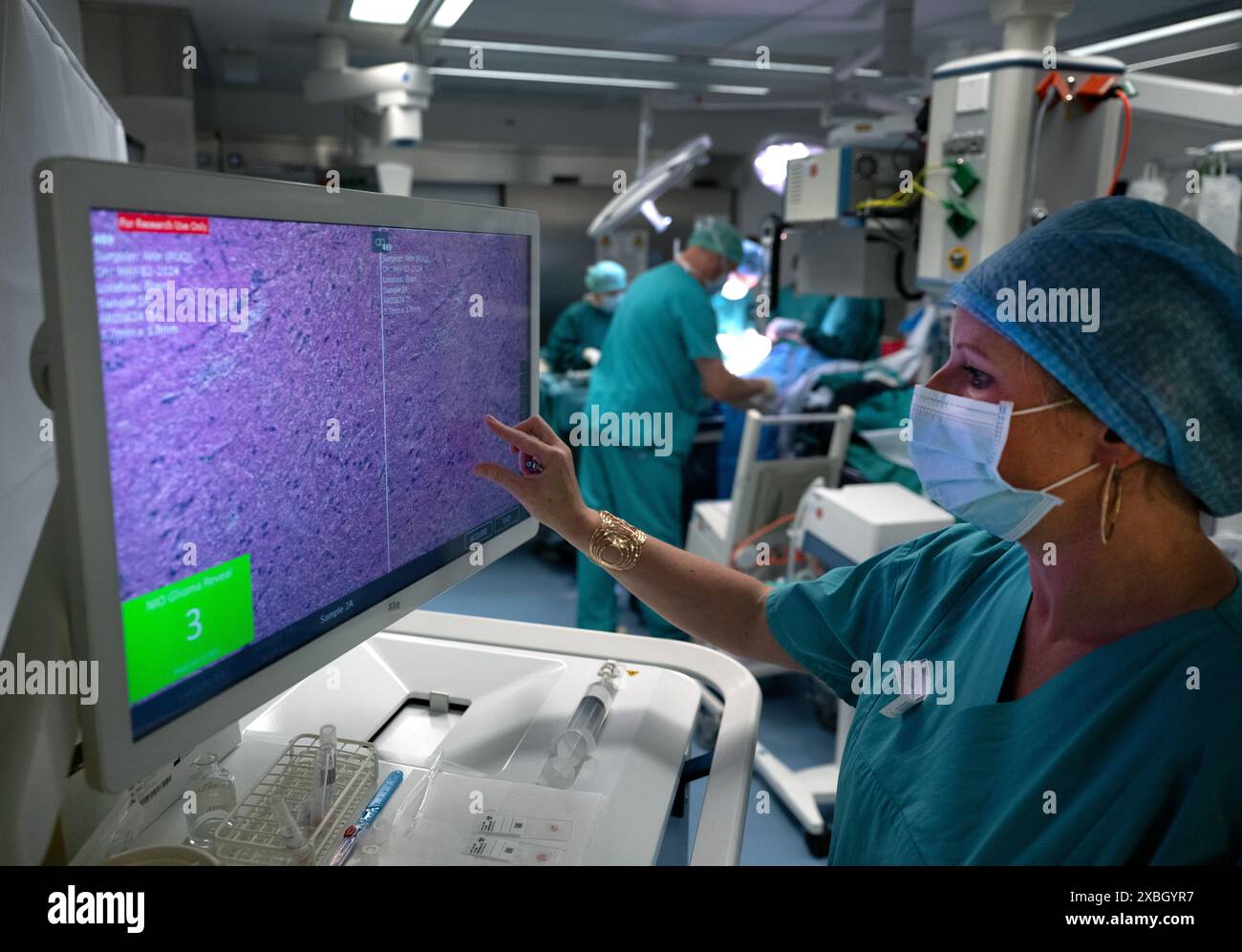 THEME PICTURE - Project 'image of the future': An artificial ...