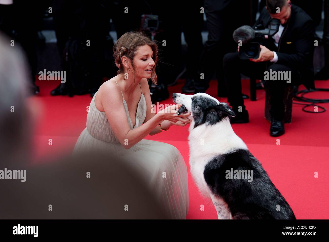 CANNES, FRANCE - MAY, 14: attends the opening carpet at Festival de ...