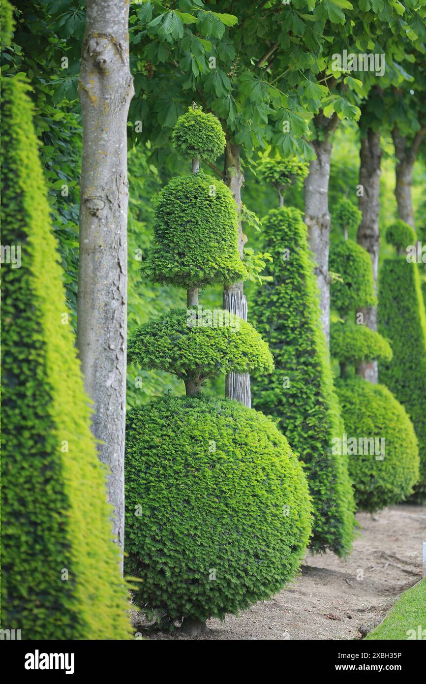 Versailles palace garden row hi-res stock photography and images - Alamy