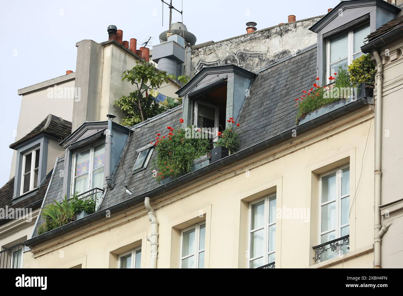 Growing on the balcony hi-res stock photography and images - Alamy