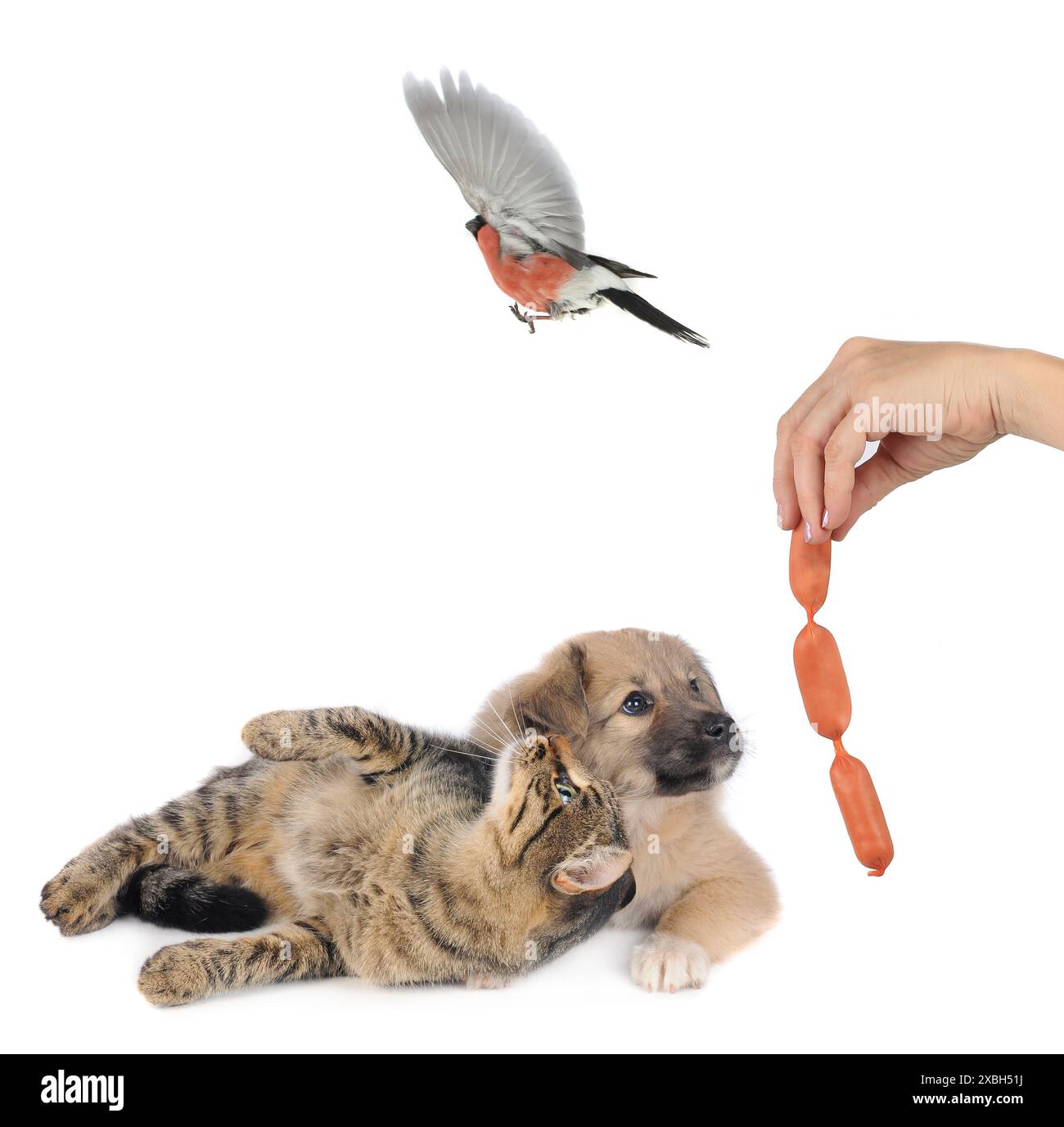 Friends love care hug Cut Out Stock Images & Pictures - Alamy