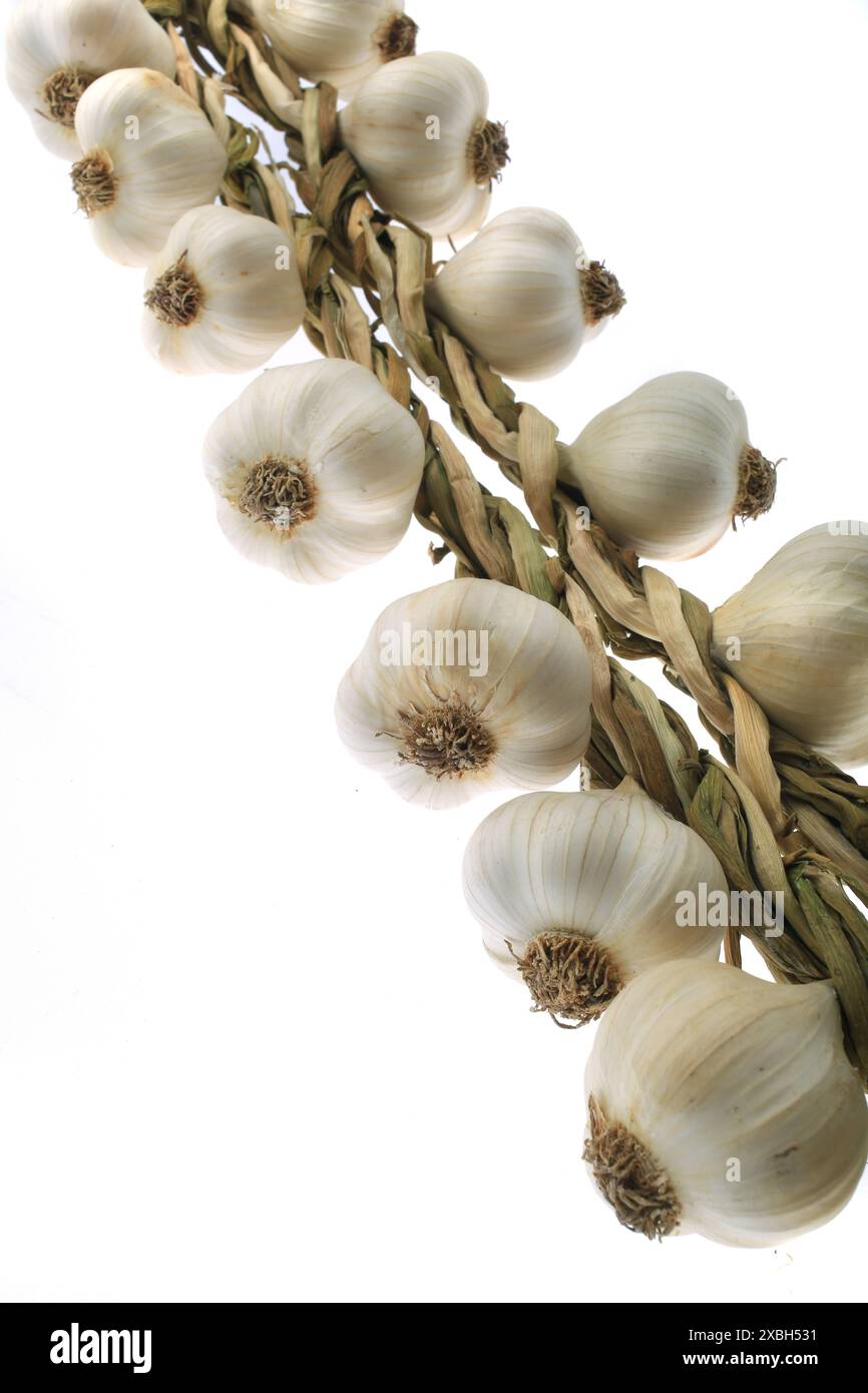 Garlic bulb isolated on white background Stock Photo - Alamy