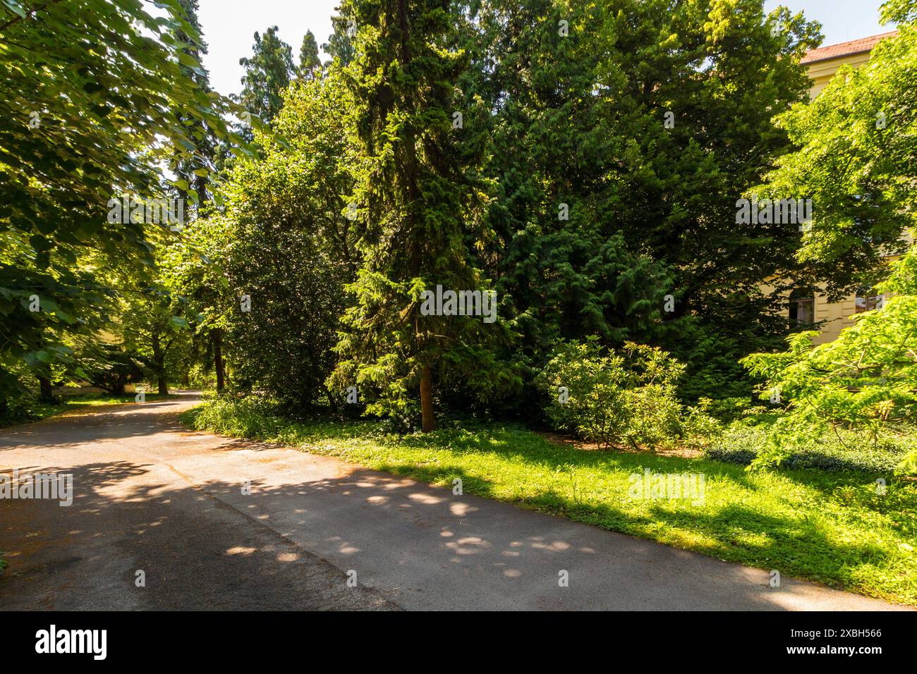 University of sopron hi-res stock photography and images - Alamy