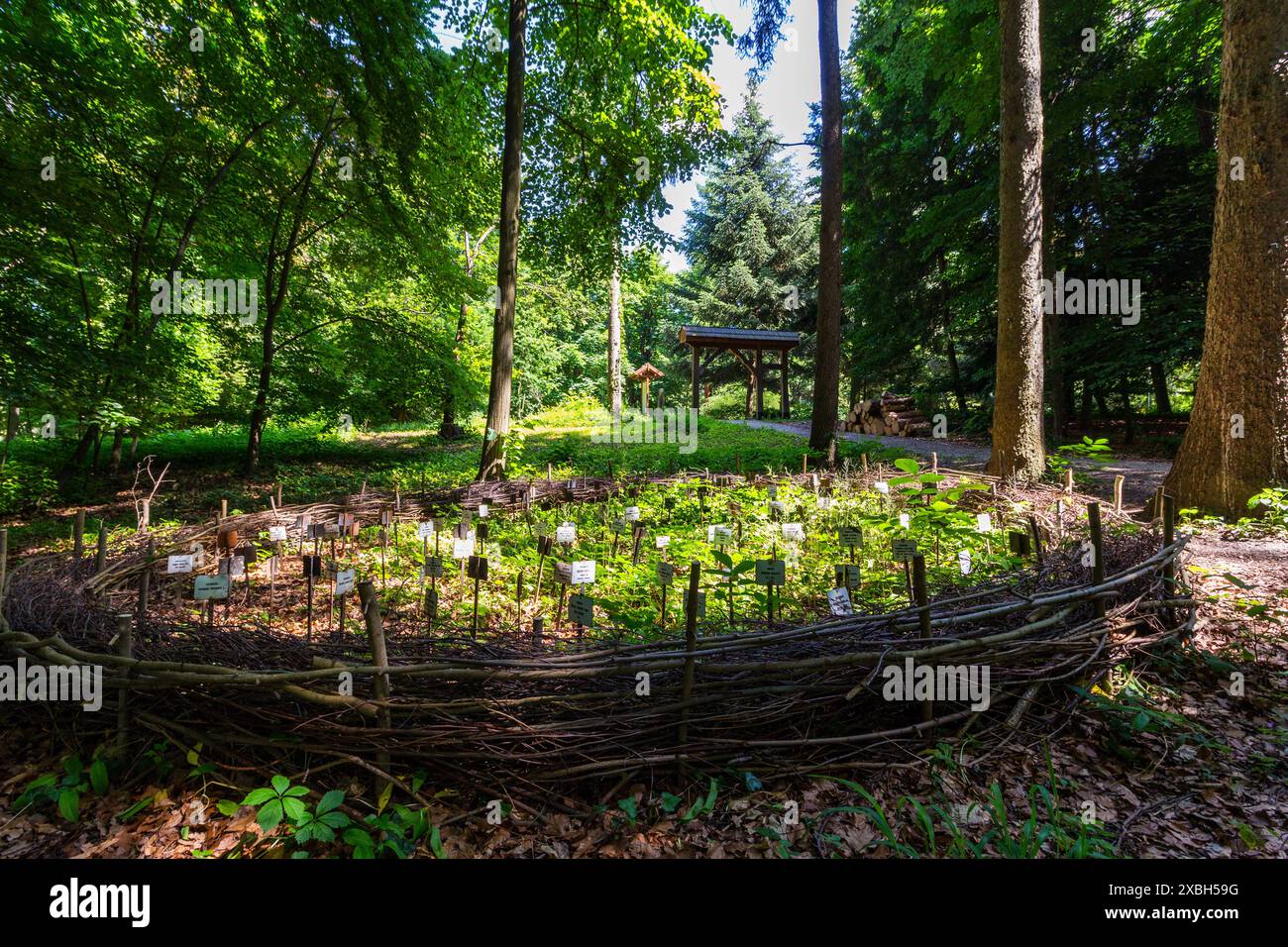 University of sopron hi-res stock photography and images - Alamy