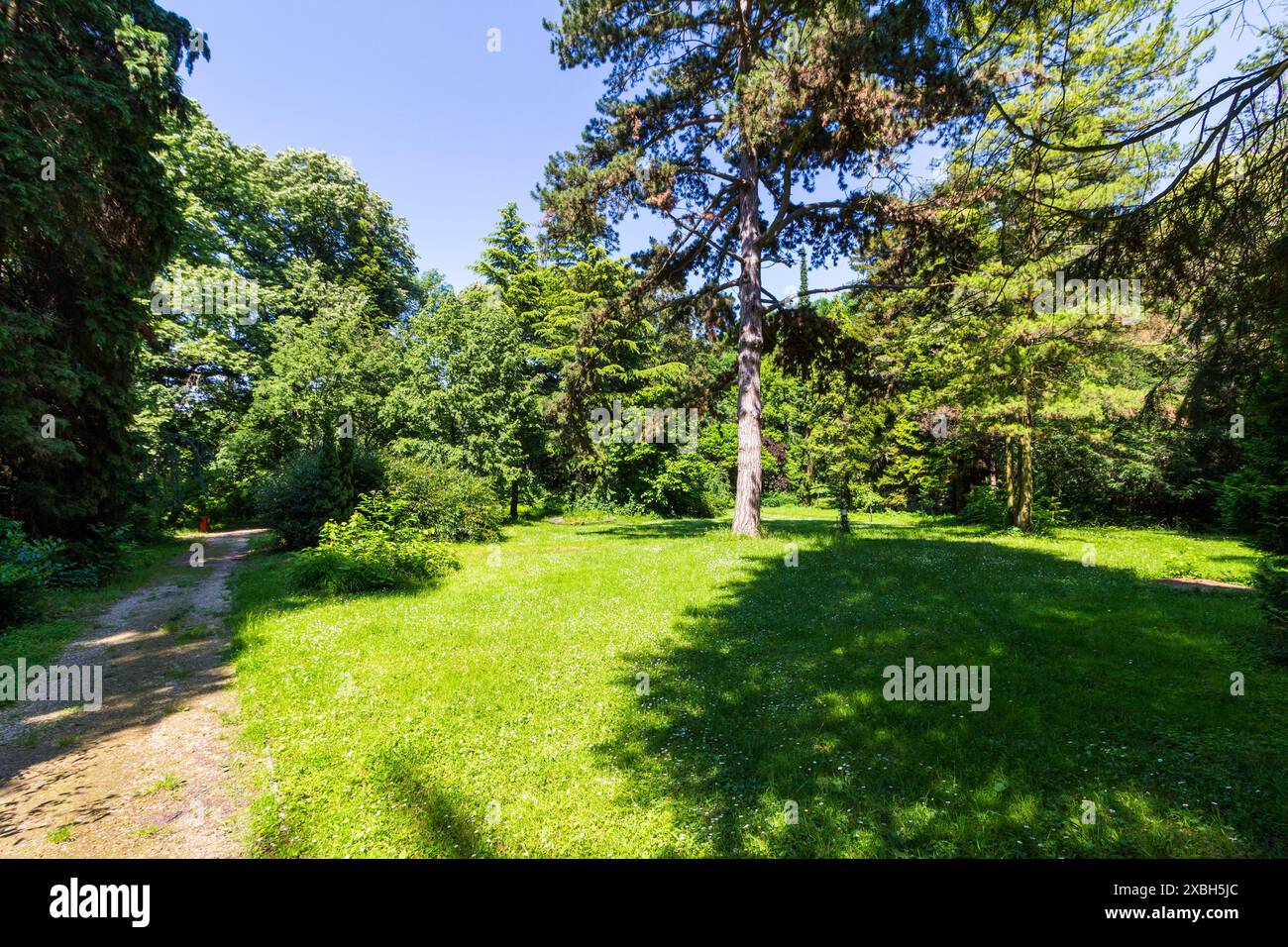University of sopron hi-res stock photography and images - Alamy