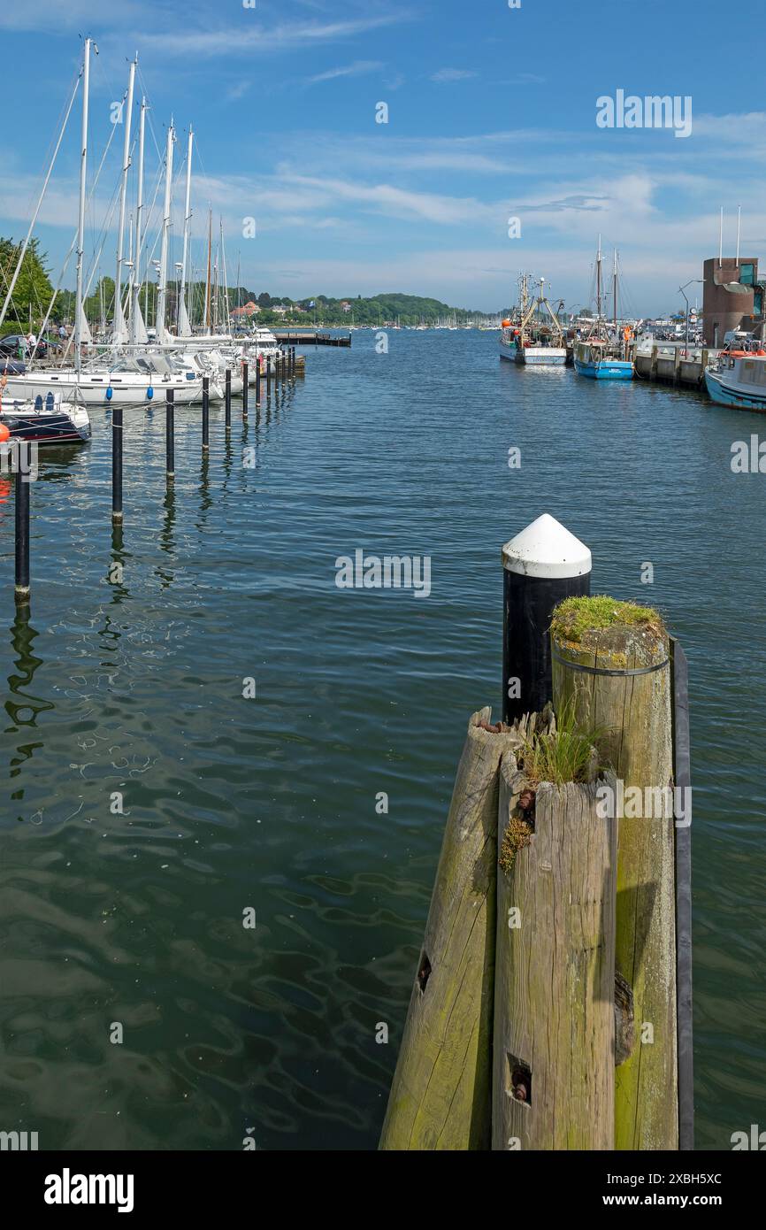 Boats, harbour, posts, Eckernförde, Schleswig-Holstein, Germany Stock ...