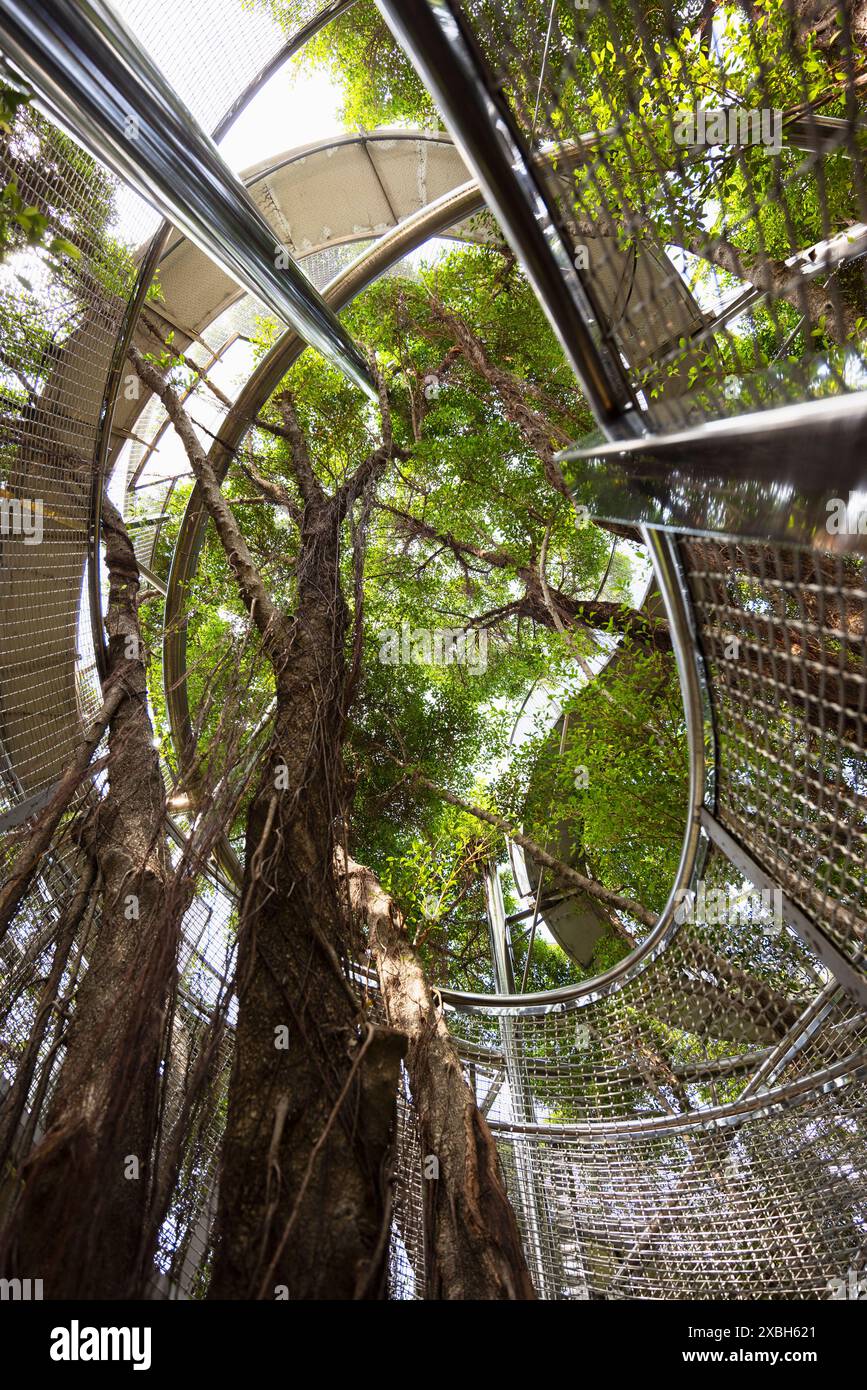 Adagic-Love River Forest art installation at Pier 2 Art Centre ...