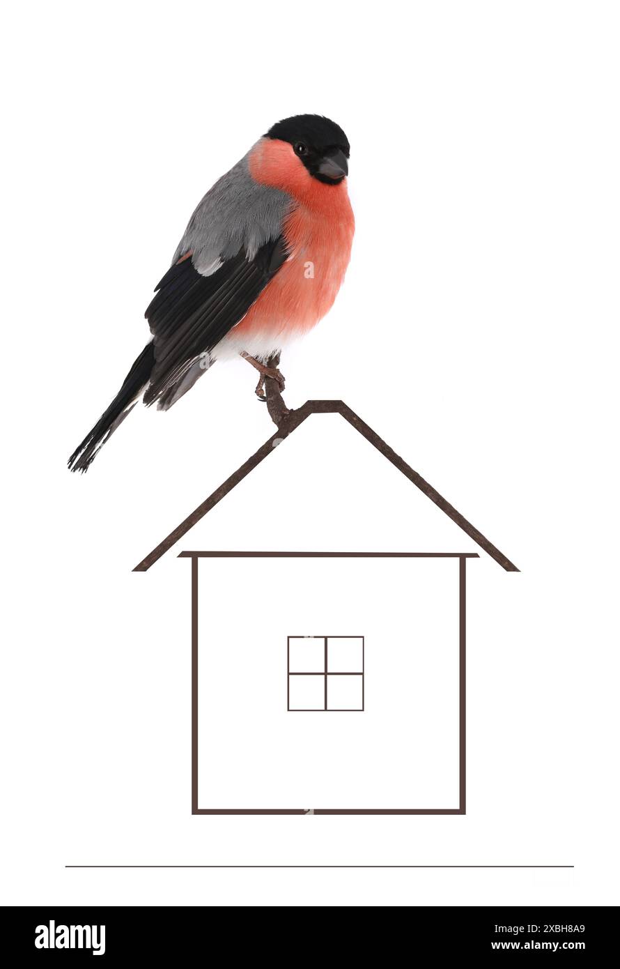 White house invitation Cut Out Stock Images & Pictures - Alamy