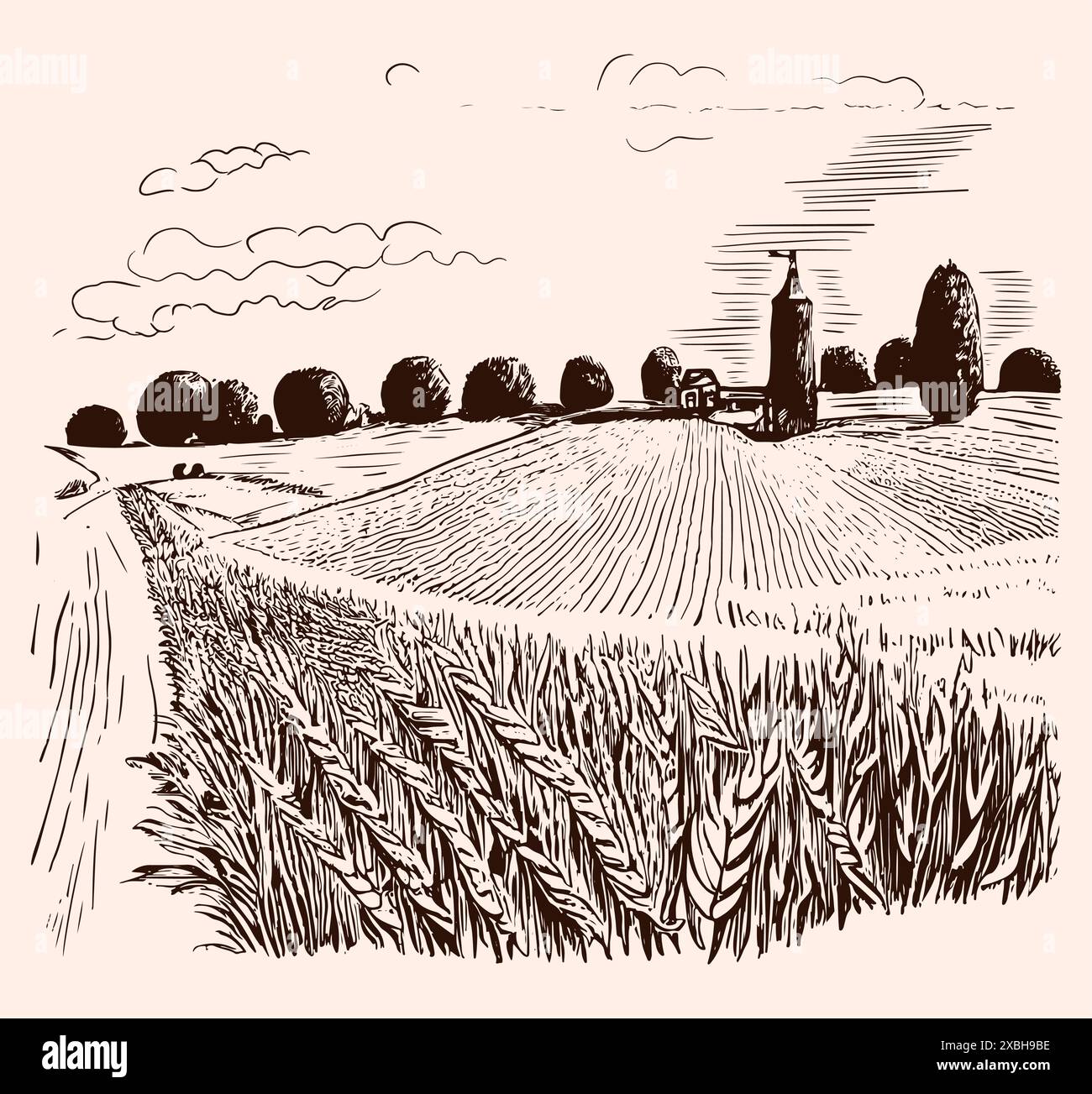 Rural landscape field wheat, trees, plants, forest panorama. Hand drawn ...