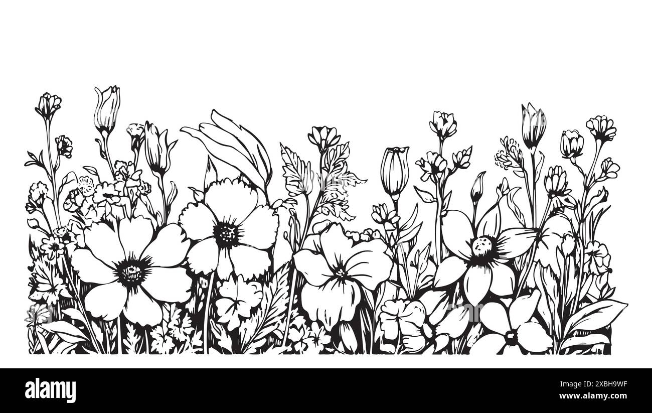 Wild flower field border hand drawn sketch in doodle style illustration ...