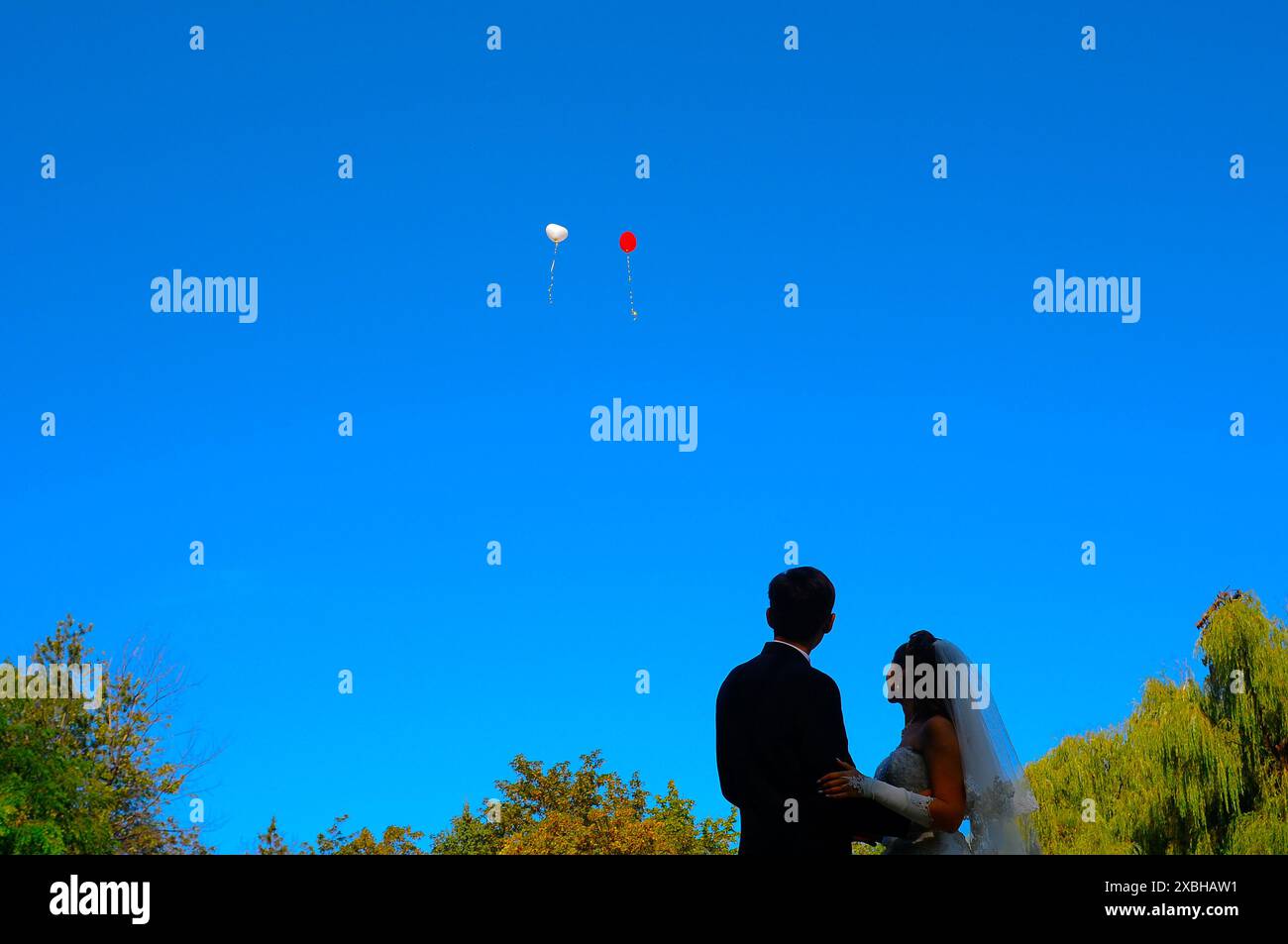 The bride and groom look at the flying away balloons during the wedding ...