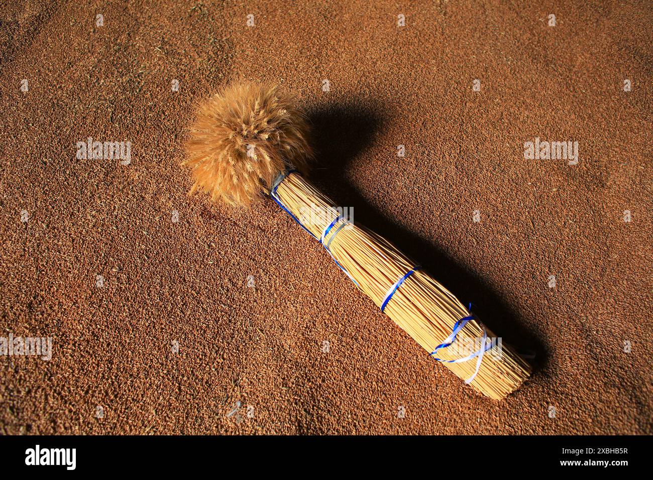 wheat cones against grain Stock Photo - Alamy