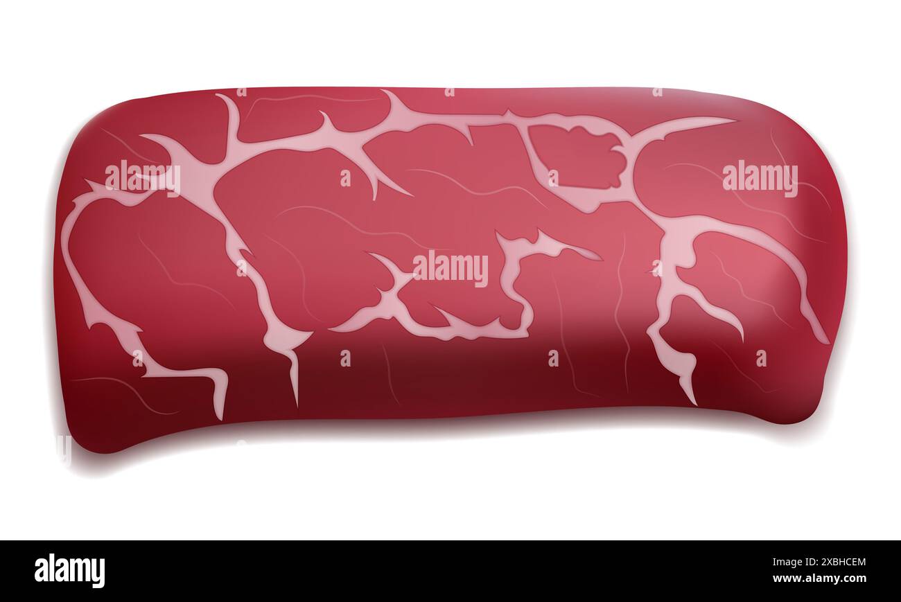 raw piece of meat cut into steaks vector illustration isolated on white ...