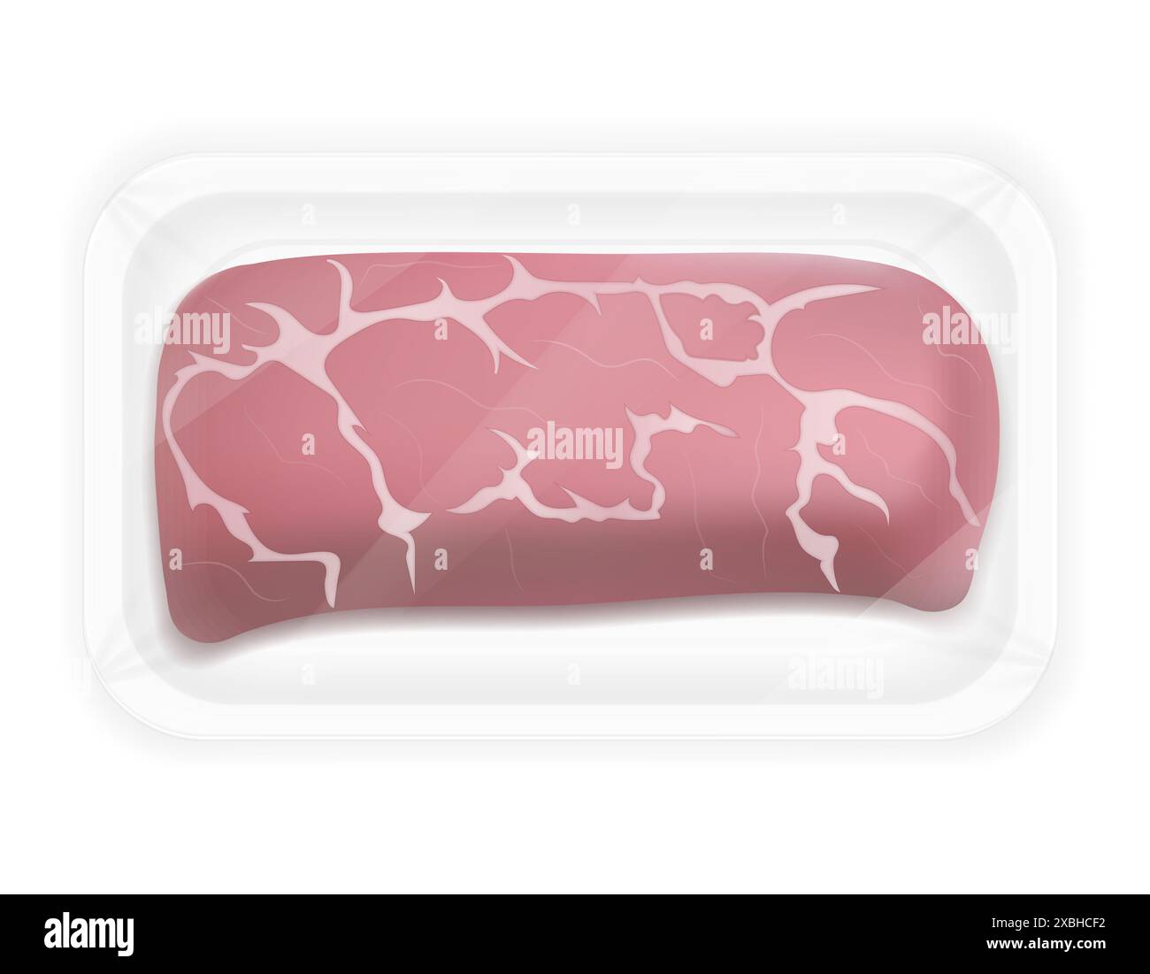 raw piece of meat cut into steaks vector illustration isolated on white ...