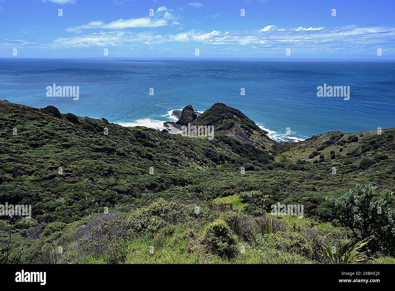 Viewing the rugged coastline of Cape Reinga, New Zealand Stock Photo ...