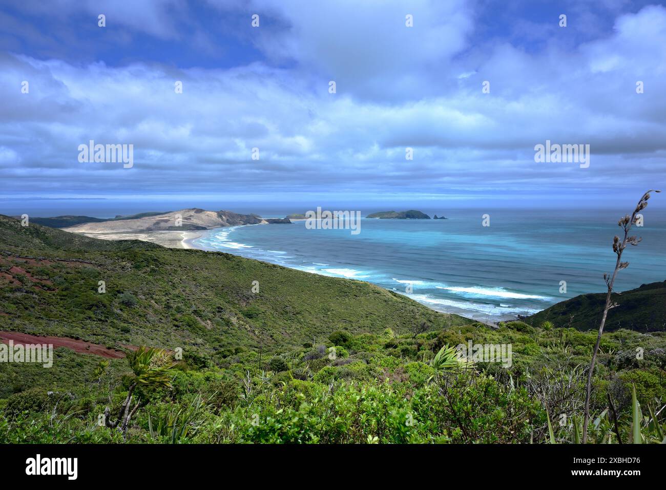 Curved beach of Cape Reinga, New Zealand Stock Photo - Alamy
