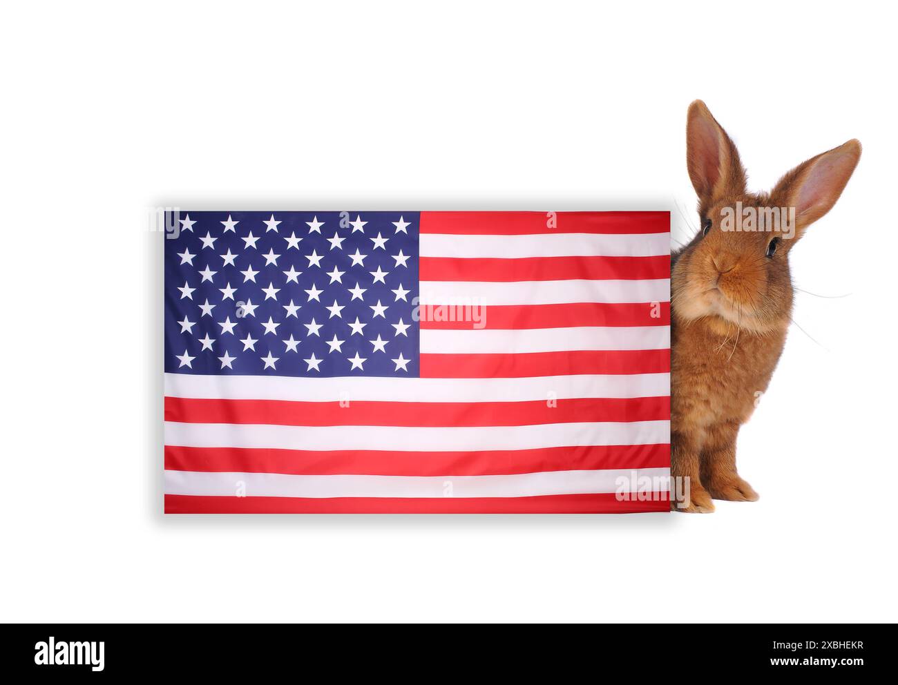 White rabbit memorial hi-res stock photography and images - Alamy