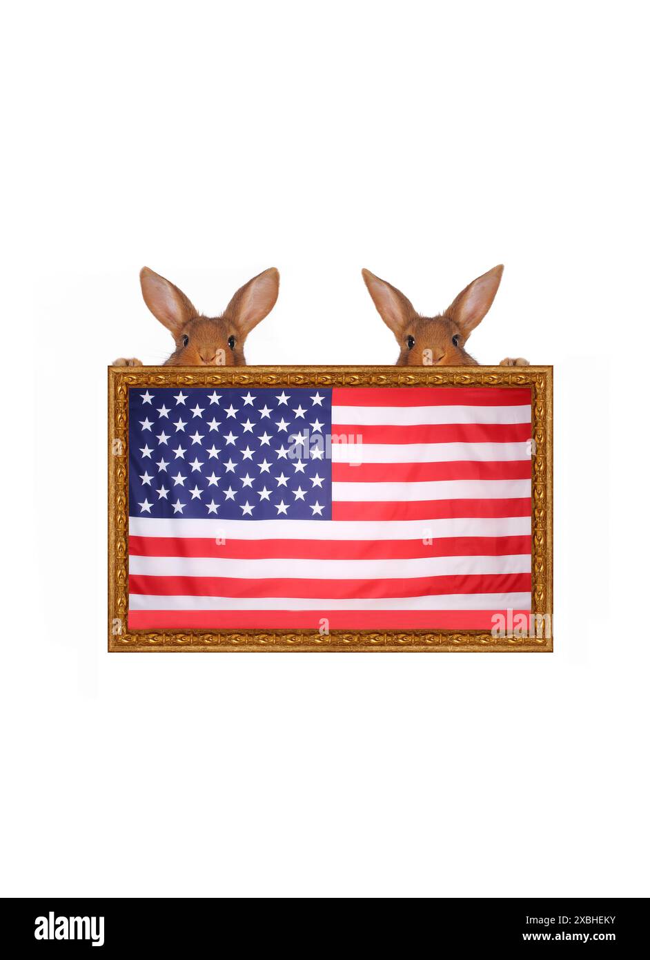 United states america soft Cut Out Stock Images & Pictures - Alamy