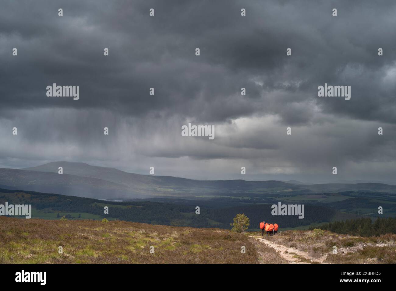 Sky walk cloud hi-res stock photography and images - Alamy