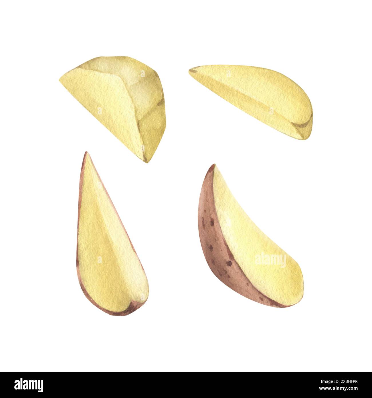Red potatoes in brown skin and peeled, cut into slices. Watercolor ...