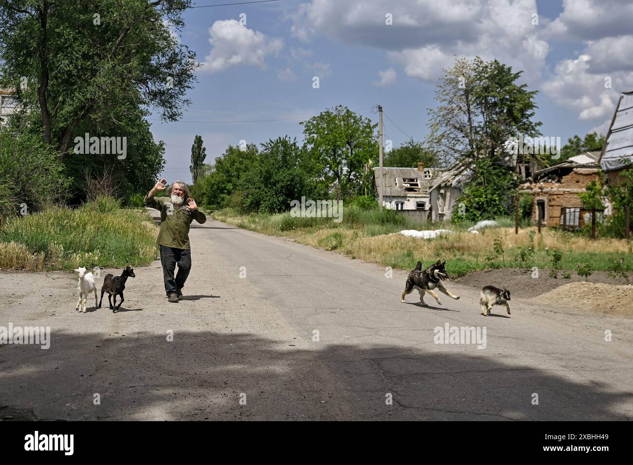ORIKHIV, UKRAINE - JUNE 10, 2024 - Viktor Zinchenko, 67, who takes care ...