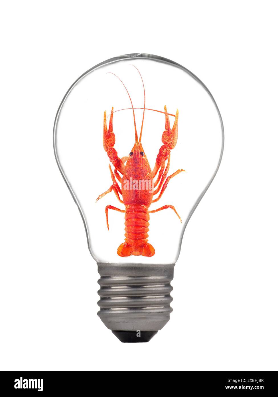 Crayfish colors hi-res stock photography and images - Alamy