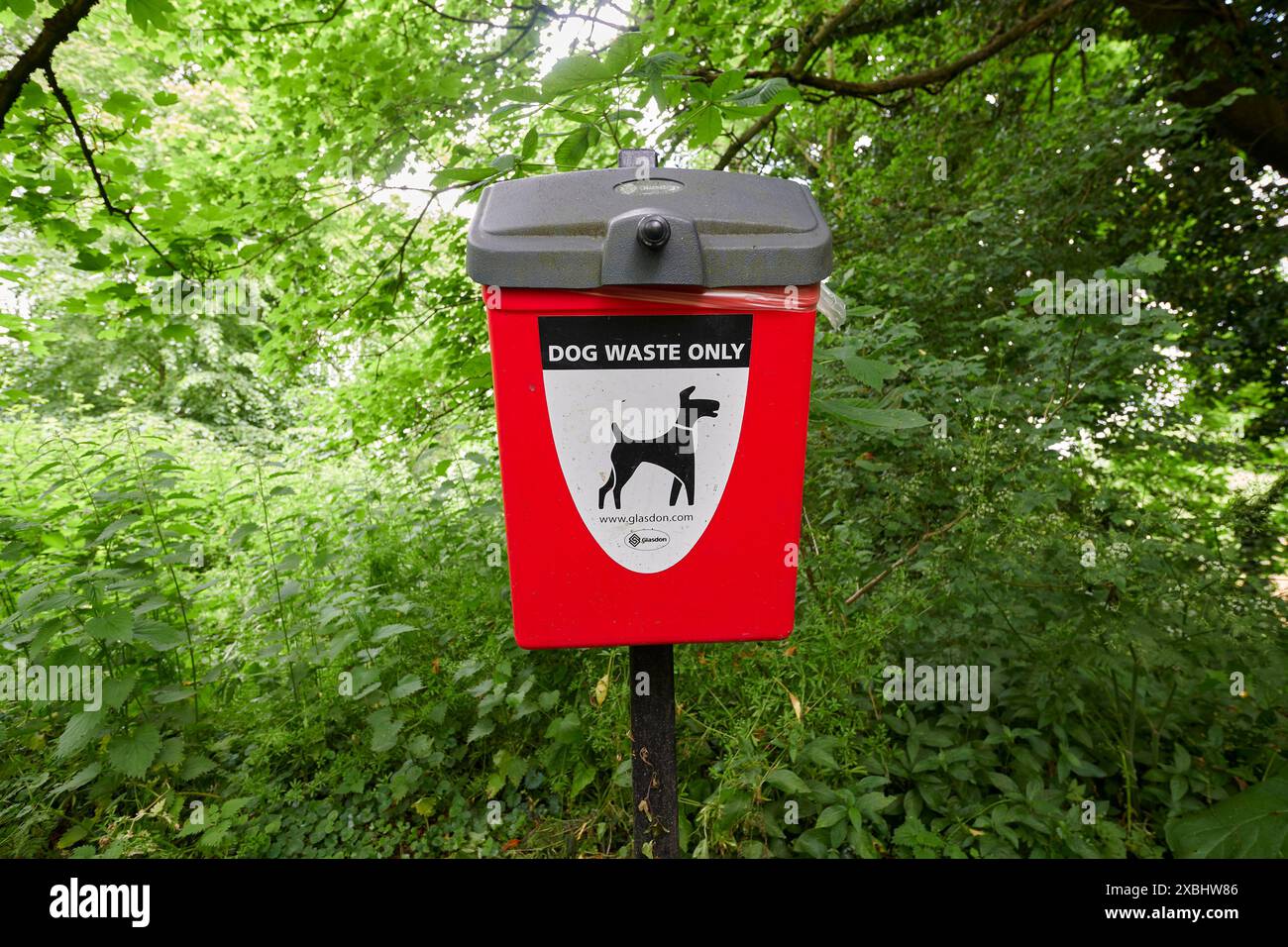 Red bin for dog waste, East Carlton Country Park, Corby, England Stock ...