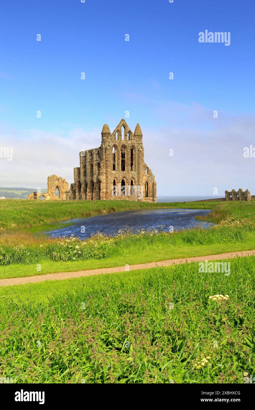 Historic ruins of Whitby Abbey and the Abbey pond, Whitby, North ...