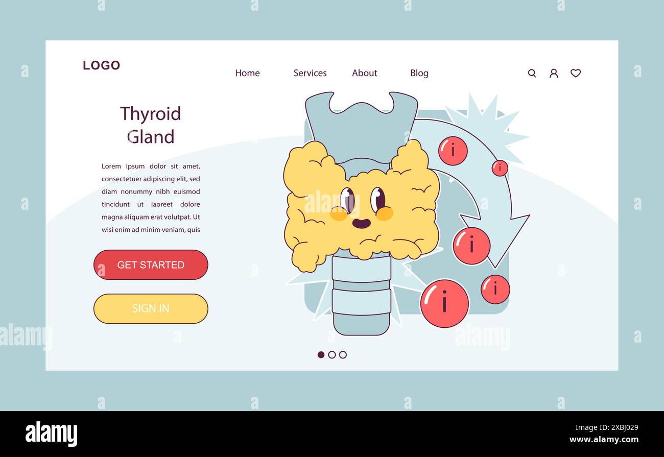 Endocrine system organ and disease. Human gland function. Thyroid gland ...