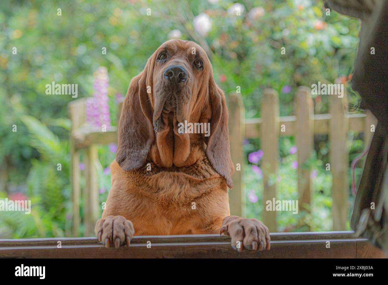 Front looking up st hi-res stock photography and images - Alamy