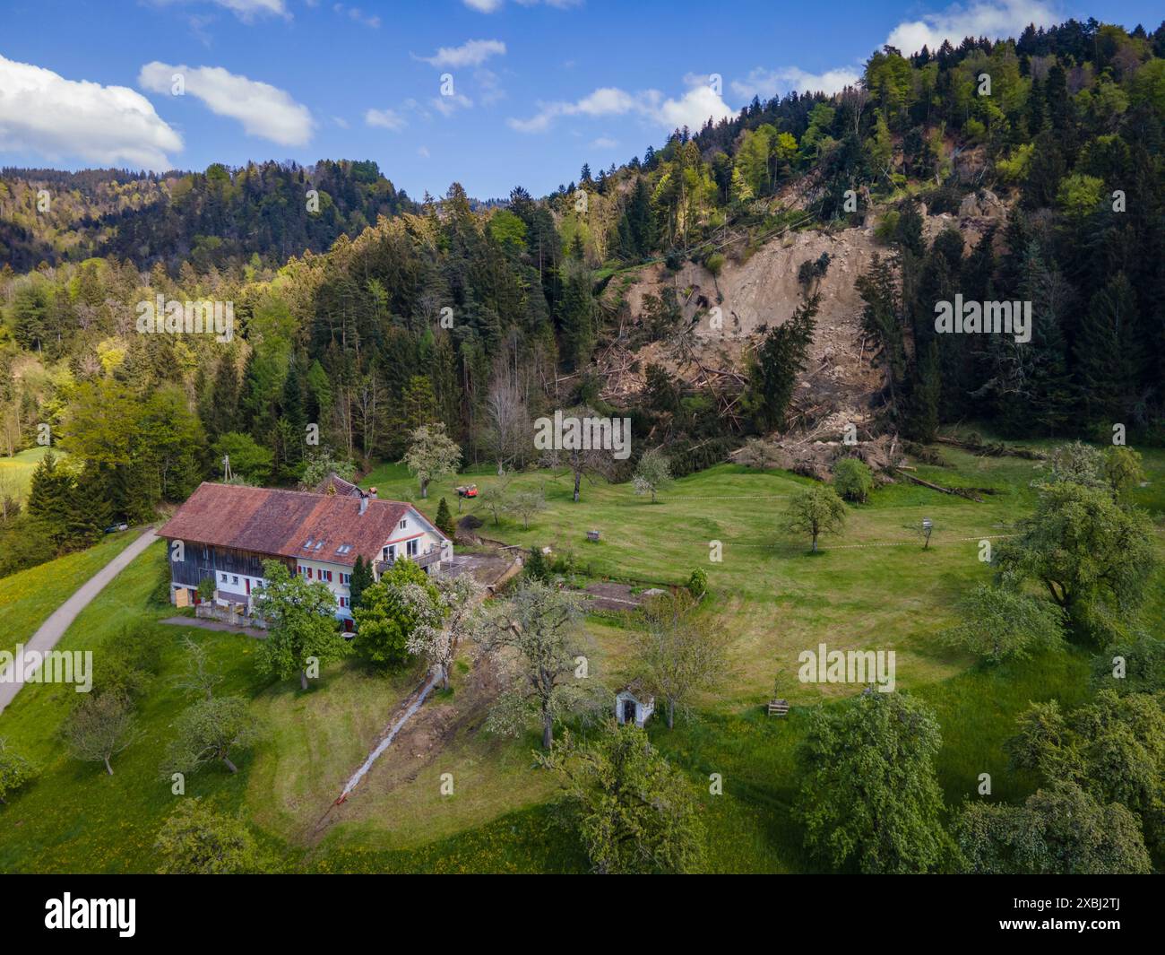 dramatic landslide in Hoerbranz, Leiblachtal, Austria Stock Photo - Alamy