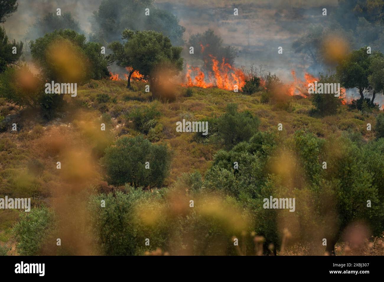 (240612) -- GALILEE , June 12, 2024 (Xinhua) -- Fire burns after ...