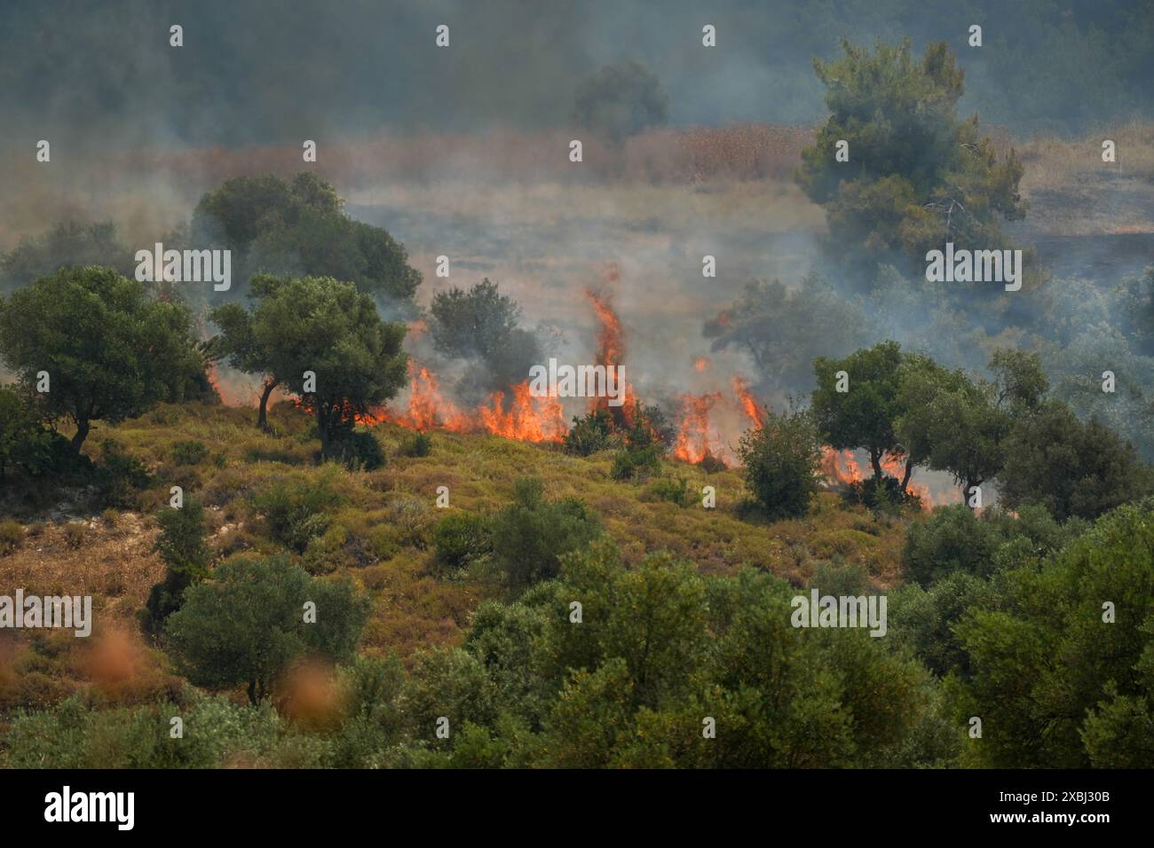 (240612) -- GALILEE, June 12, 2024 (Xinhua) -- Fire burns after rockets ...