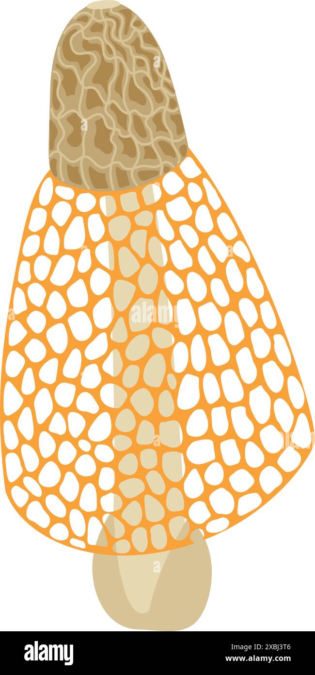 Bamboo mushroom. Hand drawn veiled lady mushroom trendy flat style ...