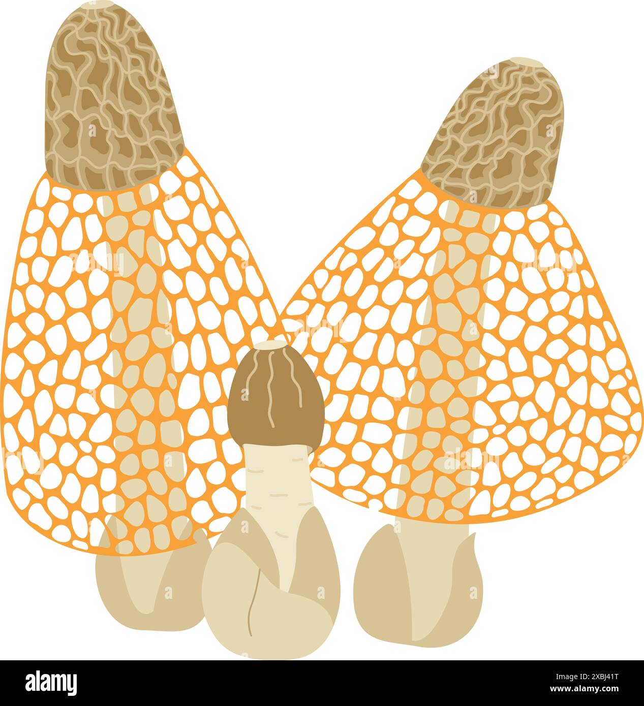 Bamboo mushrooms. Hand drawn veiled lady mushroom trendy flat style ...