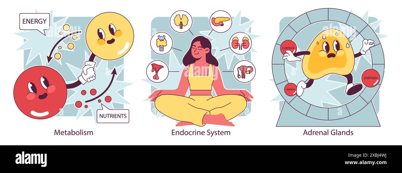 Endocrine system organs and disease set. Human glands function ...