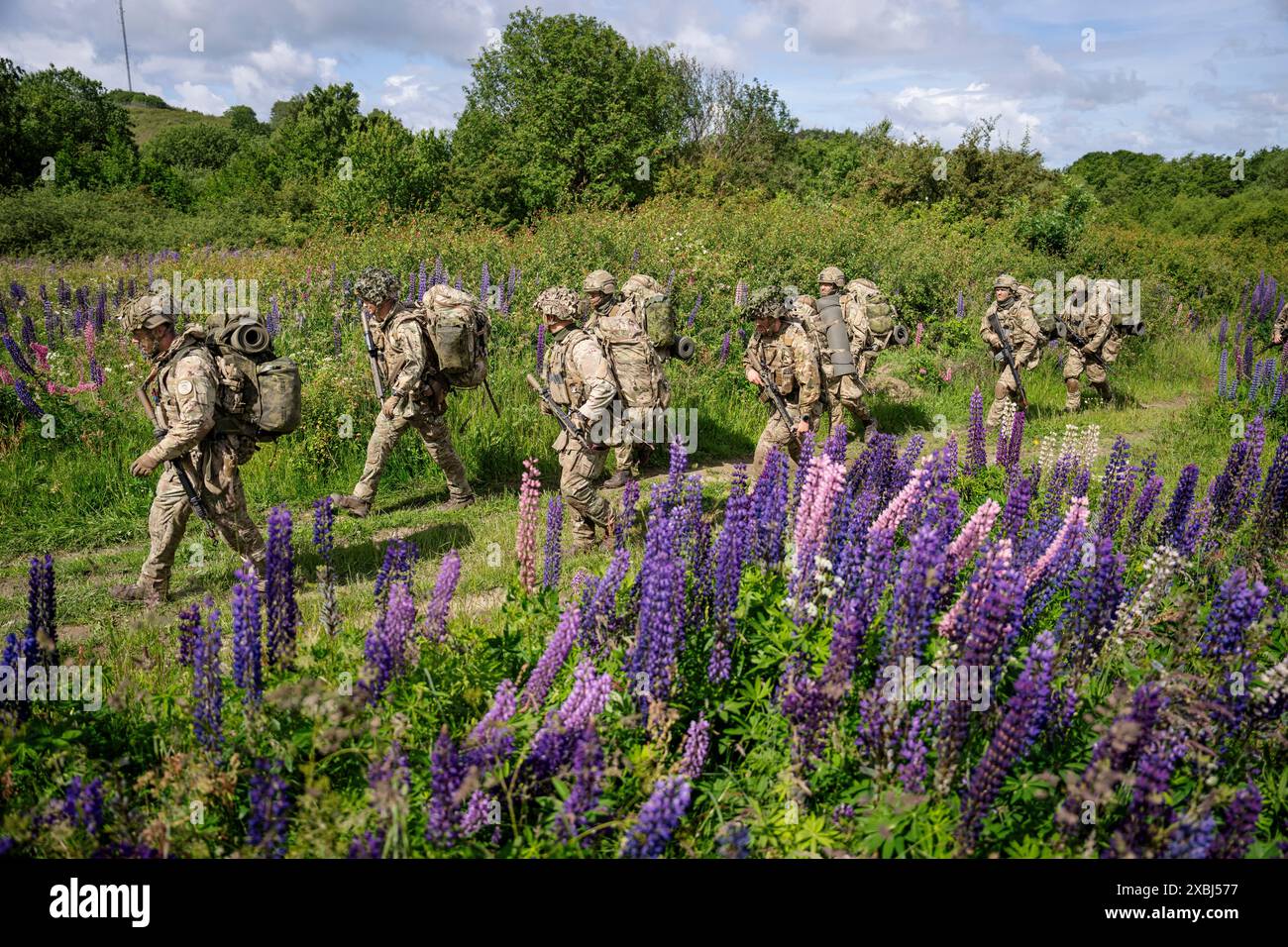 Conscripts from The Royal Life Guards during REX-tour at Kulsbjerg ...
