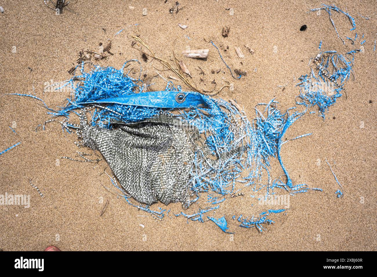 Plastic debris on a sandy beach. Severe pollution and environmental ...
