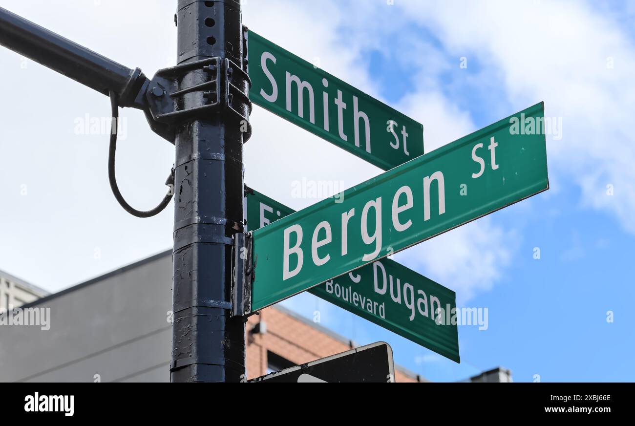 smith street and bergen st signs on lamp post (streetlight signage sign ...