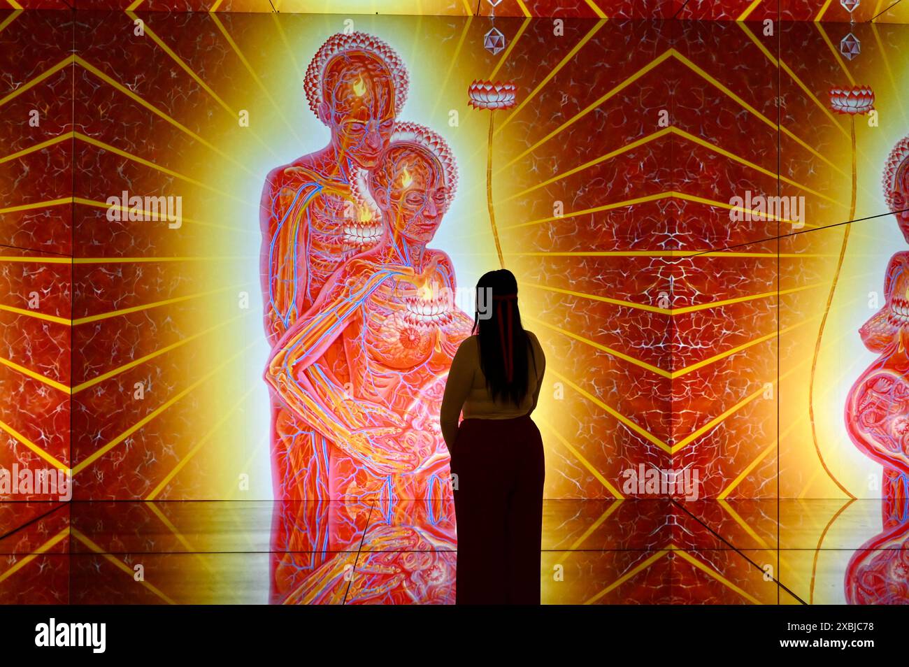 London, UK. Entheon at Illusionaries. Located in Canary Wharf this is ...