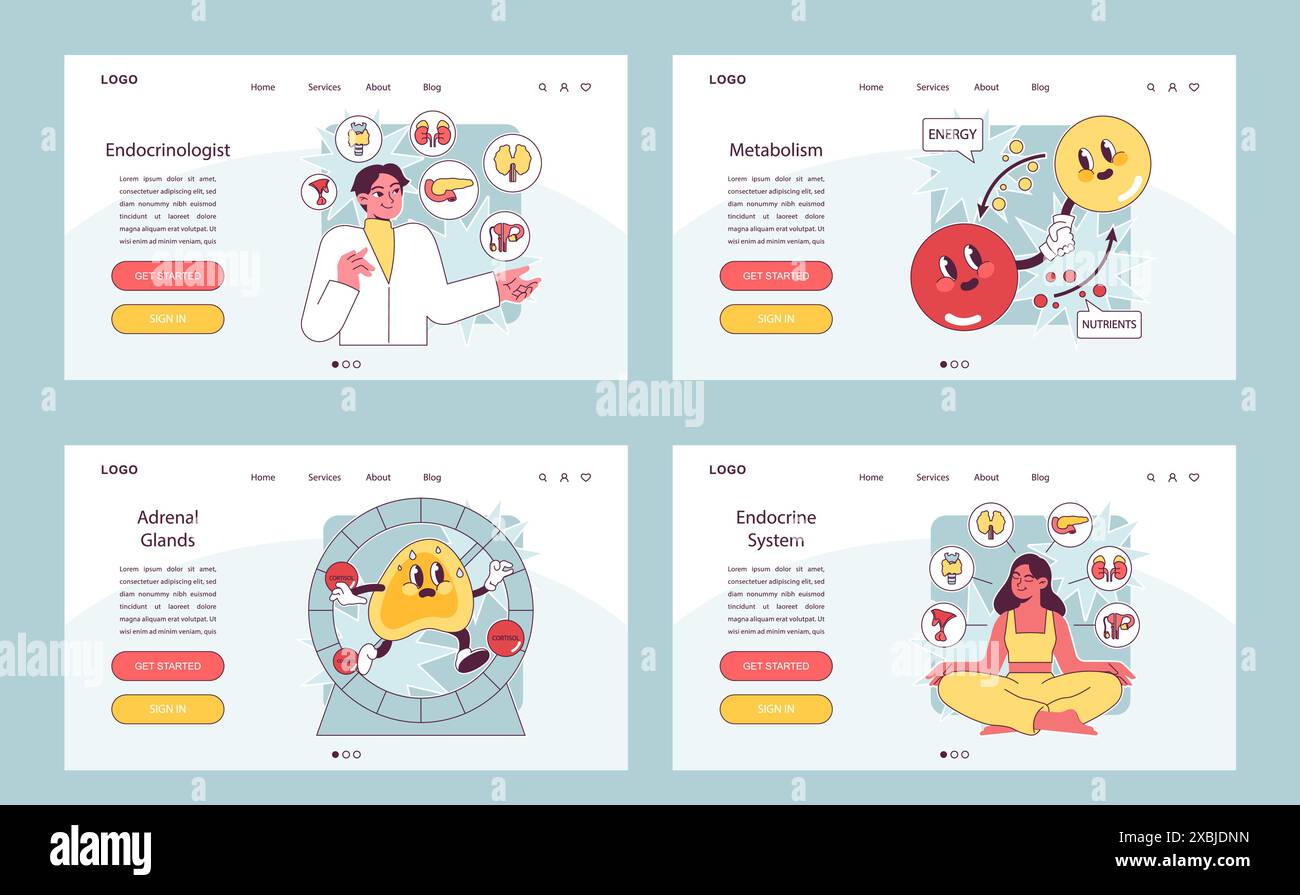 Endocrine system organs and disease web banner or landing page. Human ...