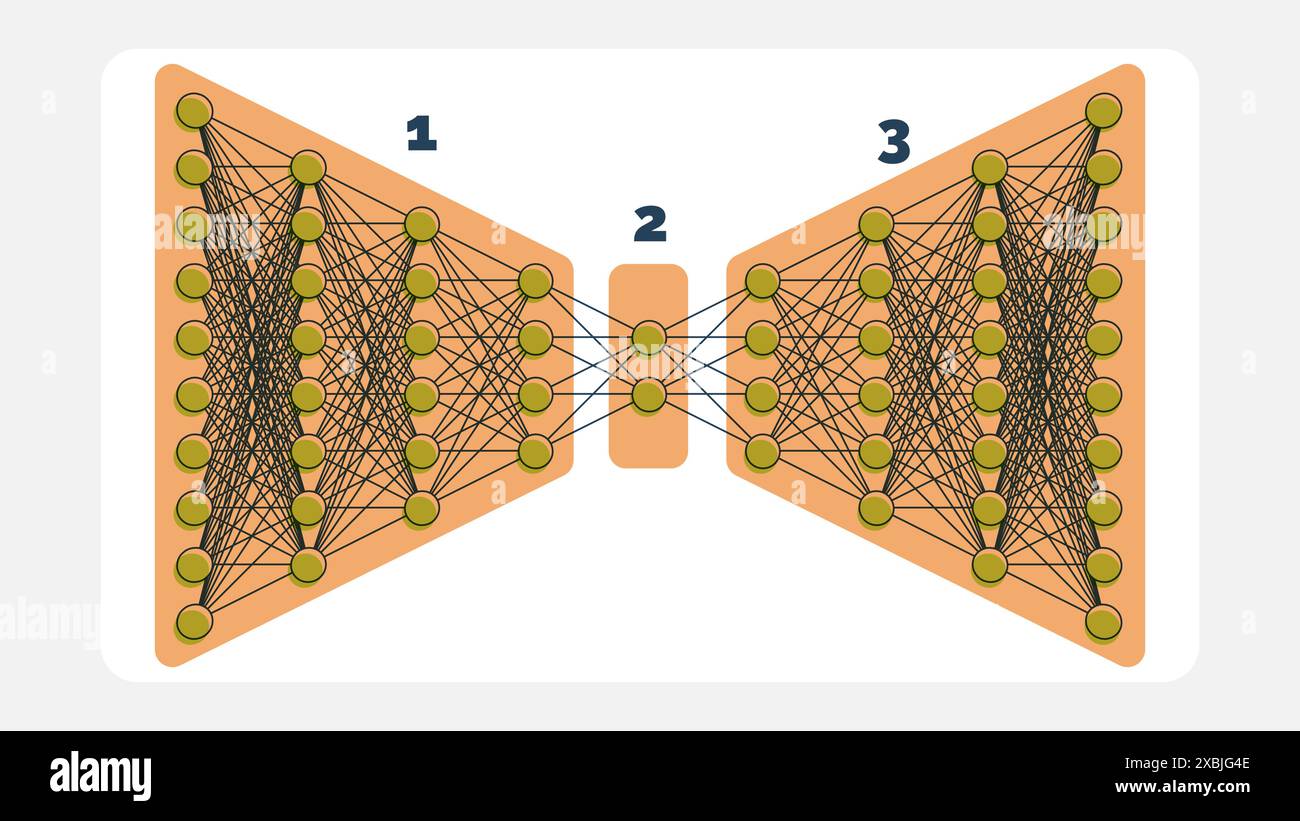 Detailed Autoencoder Network Illustration Encoding Hidden Layer And Decoding Stock Vector