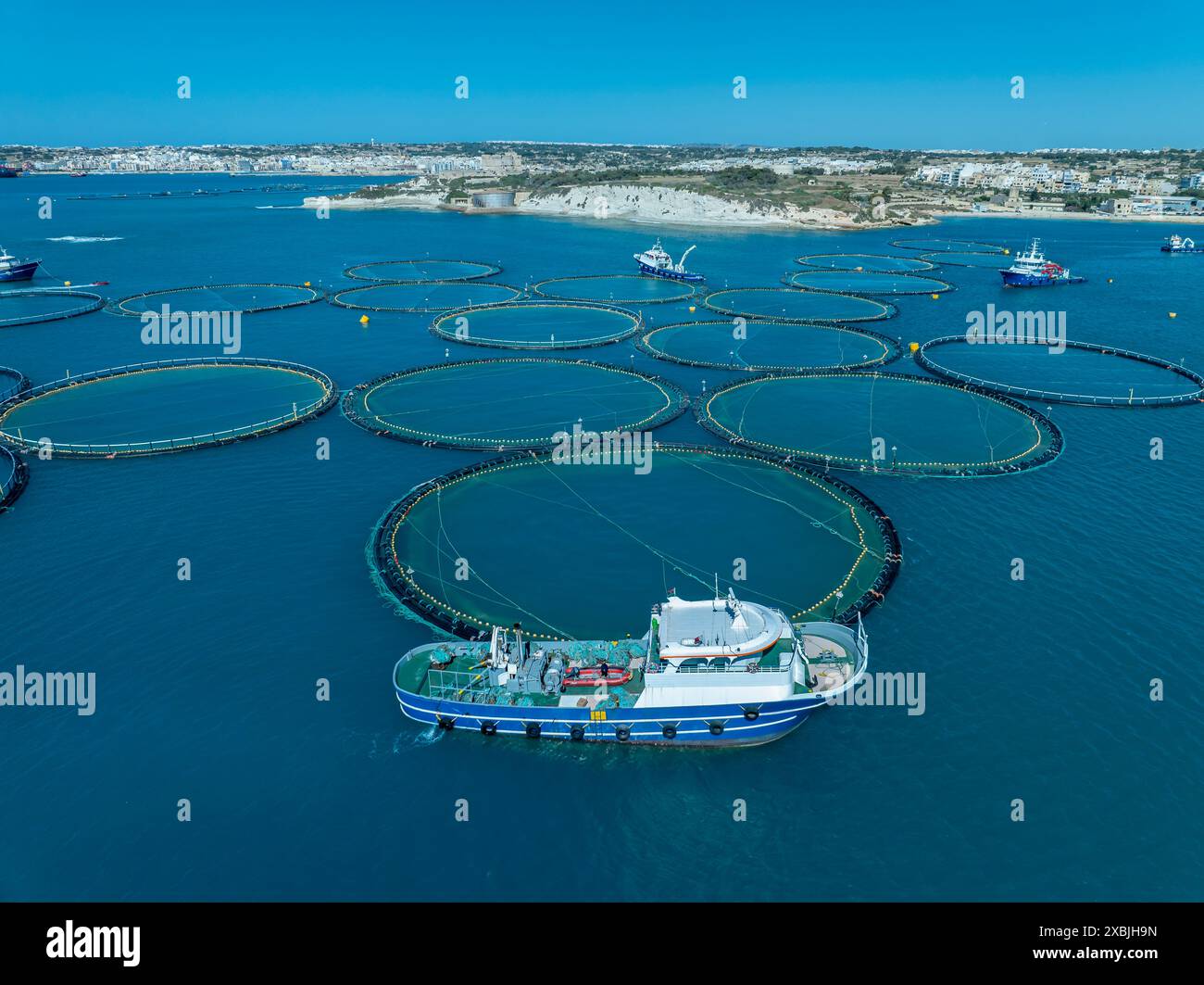 Drone view tuna farm rings hi-res stock photography and images - Alamy